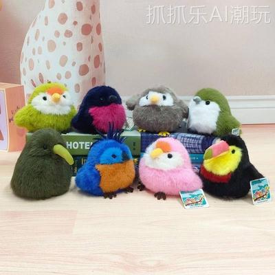 爱鸟系列毛绒玩具可爱几维鸟布娃娃仿真鹦鹉摆件创意公仔儿童玩具