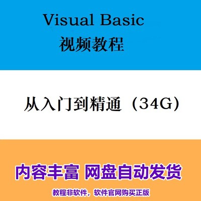 vb6.0软件视频教程Visual Basic从入门到精通教学自学编程序资料