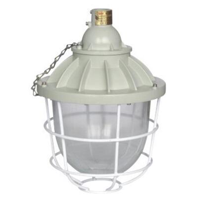 BAD51-L100B1防爆壁灯 防爆金卤灯 防爆灯 70W100W隔爆型防爆灯