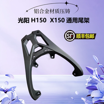 适用RKH150光阳H150尾架铝合金后货架加厚RKS-X150尾箱后备箱靠背