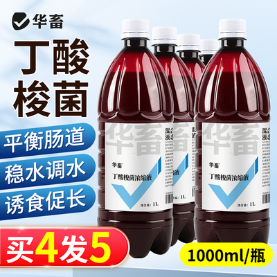 丁酸梭菌原液白便空肠空胃