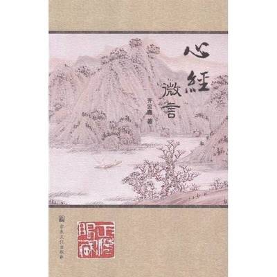 正版9成新图书丨 心经微言  齐云鹿著 9787802548077