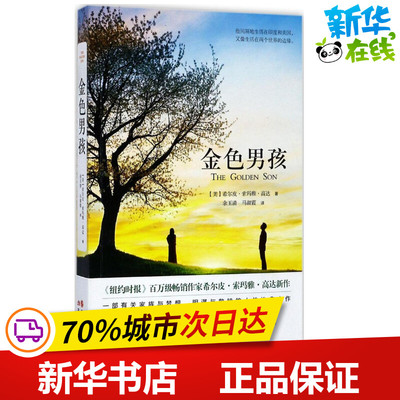 金色男孩 (美)希尔皮·索玛雅·高达(Shilpi Somaya Gowda) 著；余玉清,马淑霞 译 现代/当代文学文学 新华书店正版图书籍