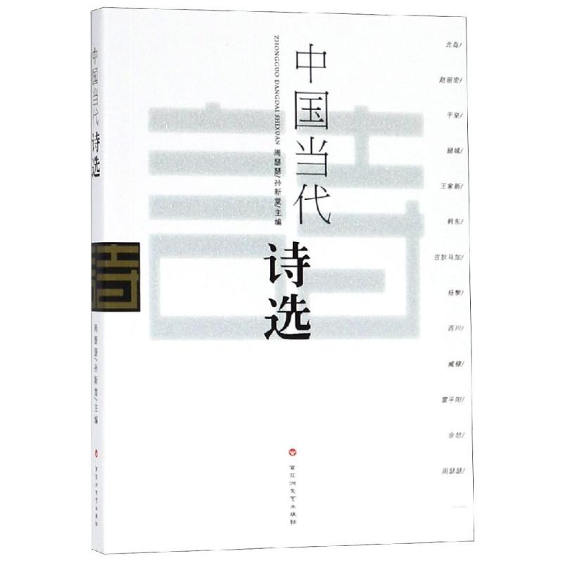 中国当代诗选 周瑟瑟孙新堂 著 中国现当代诗歌文学 新华书店正版图书籍 百花洲文艺出版社