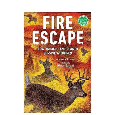 【预售】火灾逃生：动植物如何在野火中生存 Fire Escape: How Animals and Plants Survive Wildfires英文进口原版儿童绘本图书H