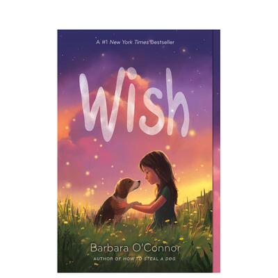 【现货】希望 Wish  英文进口原版儿童章节图书Barbara O'Connor外文正版