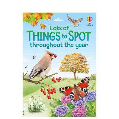 【预售】一年四季找找看 Lots of Things to Spot throughout the year 英文进口原版儿童趣味图书Lara Bryan外文正版