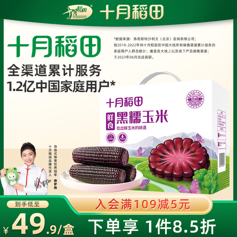 十月稻田黑糯玉米新鲜鲜食东北糯苞米1.6kg黏苞米玉米8根含花青素_虎窝淘