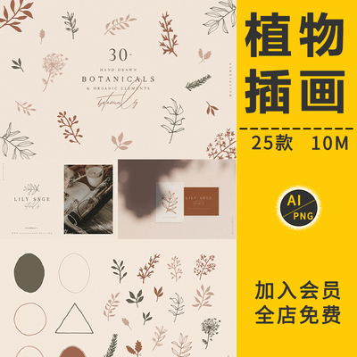 手绘植物树叶花卉朵纹线稿描插画装饰元素AI矢量PNG免扣设计素材