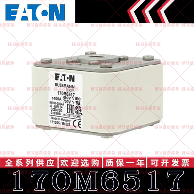 170M系列巴斯曼快速熔断器 170M6518 170M6519 170M6520 170M6521