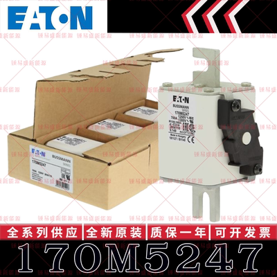 170M系列巴斯曼快速熔断器 170M5247 170M5248 170M5249 170M5250