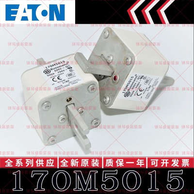 BUSSMANN巴斯曼快速熔断器 170M5015 170M5016 170M5017 170M5018