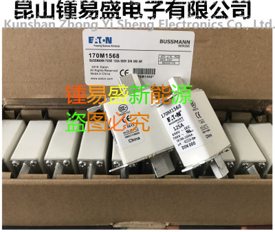BUSSMANN快熔170M1558/1559/1560/1561/1562/1563/1564/1565/1566