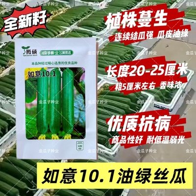 如意101丝瓜种子杂交短棒油绿丝瓜种子香味浓抗病耐低温弱光蔓生