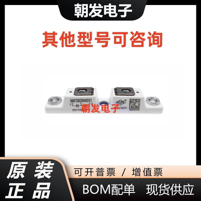 MMF300Y040DK1CMMF300Y060DK1