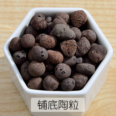 陶粒多肉植物钵底石盆底石防漏土