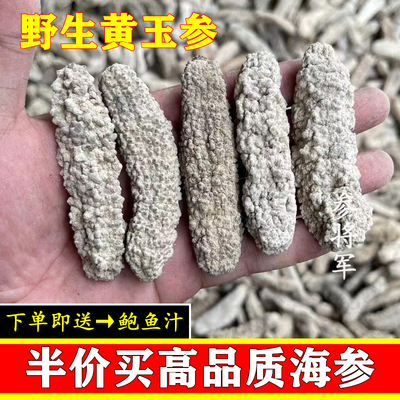 野生黄玉参干货淡干海参