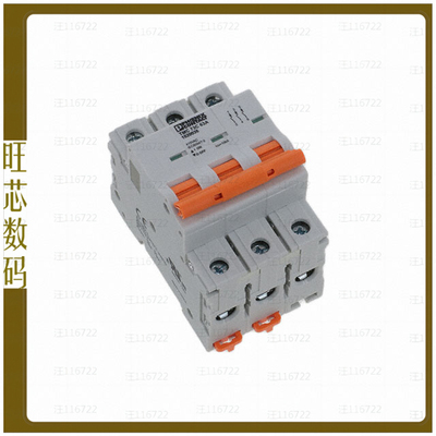 1020036【CIRCUIT BRAKER 63A】