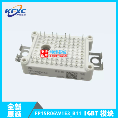全新原装 IGBT模块 现货 FP15R06W1E3_B11 电子元器件 支持配单