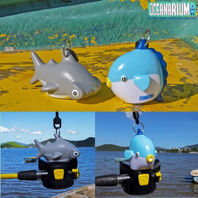 二级头备用调节器OCEANARIUM