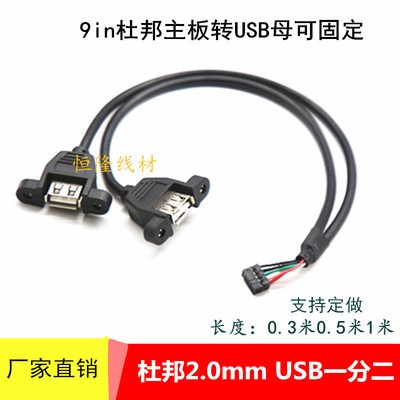 主板杜邦9in2.0转USB2口扩展线带耳朵可固定转USB一分二数据延长