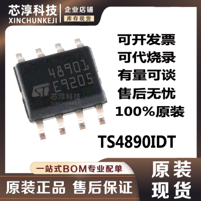 TS48901DT集成电路芯片