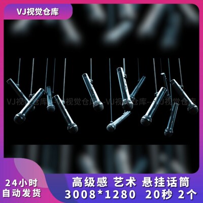 高级感艺术悬挂话筒歌手秀