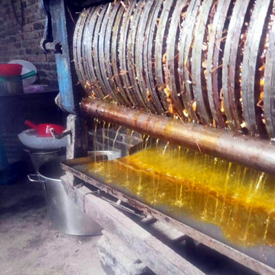 湖南耒阳农家茶油土法压榨