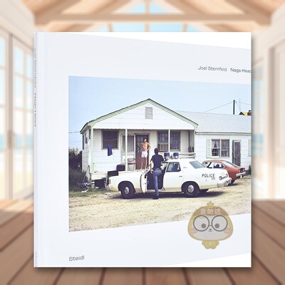 【现货】乔·斯坦菲尔德 纳格斯黑德英文摄影集人文景观进口原版书Joel Sternfeld Nags Head精装Joel Sternfeld著Steidl出版书籍