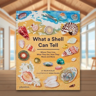 【现货】贝壳跟你说什么英文青少年读物进口原版书精装What A Shell Can Tell Sonia Pulido著Phaidon Press出版书籍图书外版正版