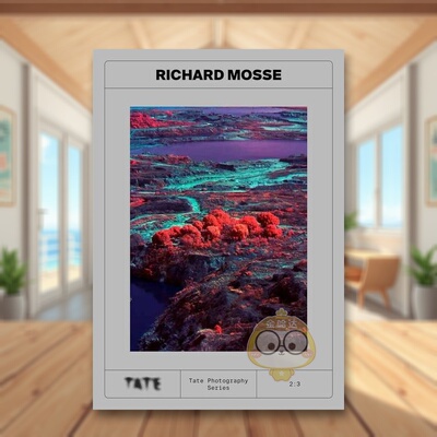 【预售】理查德莫斯【Tate Photography Series】Richard Mosse英文摄影师专辑Yasufumi Nakamori平装Tate Publishing进口原版书9