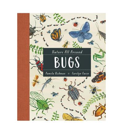【现货】大自然就在身边：昆虫Bugs  【Nature all around】英文进口原版儿童绘本图书 Pamela Hickman  Carolyn Gavin外文正版