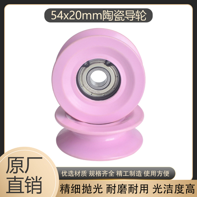 54*20mm陶瓷导轮押出机