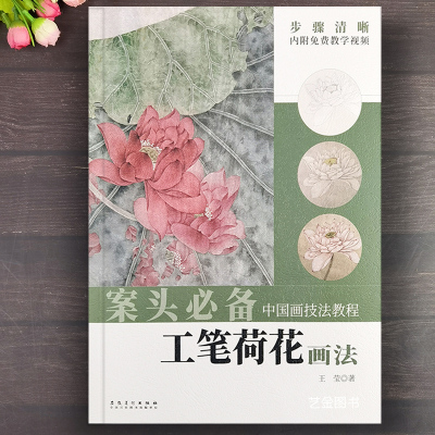 工笔荷花画法中国画技法教程