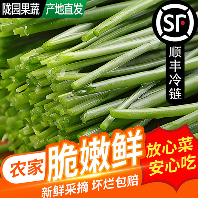 大漠沙葱脆嫩鲜顺丰极速发货