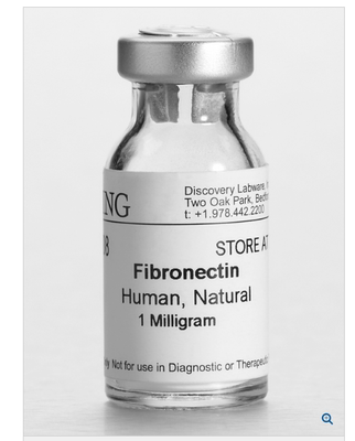 BD Biocoat 354008 人纤维连接蛋白, Fibronectin, Human