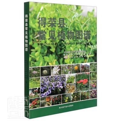 正版得荣县常见植物图谱甘孜自治州科学技术协会书店自然科学书籍 畅想畅销书