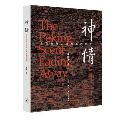 正版神情:北京自然人文角落的拾遗沈继光书店艺术书籍 畅想畅销书