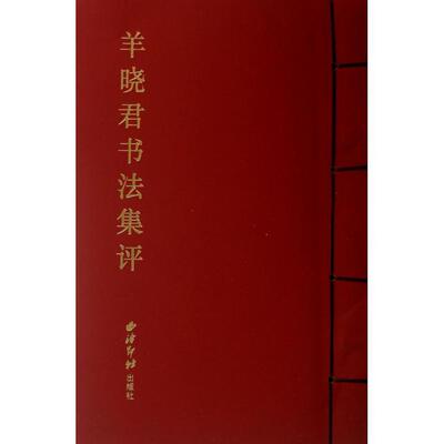 正版羊晓君书法集评方爱龙书店艺术书籍 畅想畅销书