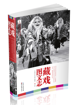 正版包邮 藏戏图文志 刘志群 书店 文化书籍 畅想畅销书