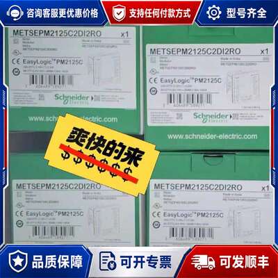 议价PM2125C METSEPM2125C2DI2RO可维修