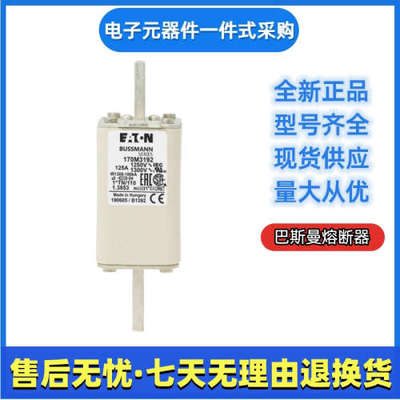 美国巴斯曼bussmann熔断器170M3192 170M3193 170M3194 170M3195