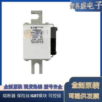 美国BUSSMANN熔断器170M5762  170M5763  170M5764  170M5765