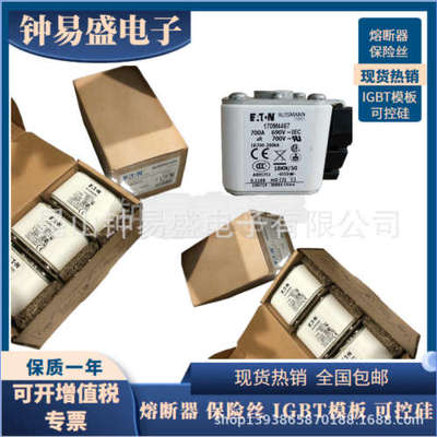 全新原装 巴斯曼熔断器170M3417 170M3420 170M3421 170M3473