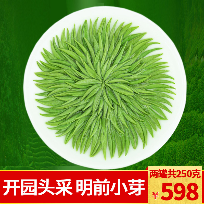 现货信阳毛尖2026新茶  茶叶绿茶明前特级头采小米芽自产自销250g