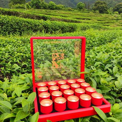 岭露红大沙茶高端小罐茶醇香特级