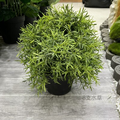 小草单束盆景装饰草堆