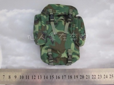 1 6兵人 DID 50002  抗震救灾 现代中国 WJ  PLA 大背包 现货