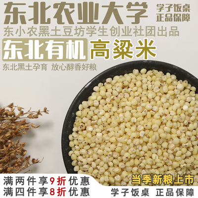 东北农业大学学子饭桌有机高粱米