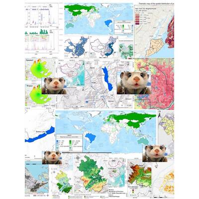 GIS分析|QGIS/ArcGIS制图/ArcGISpro 带做|Assignment留学生项目